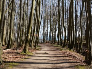 Wandern auf Rügen: Von Sassnitz zum Königsstuhl